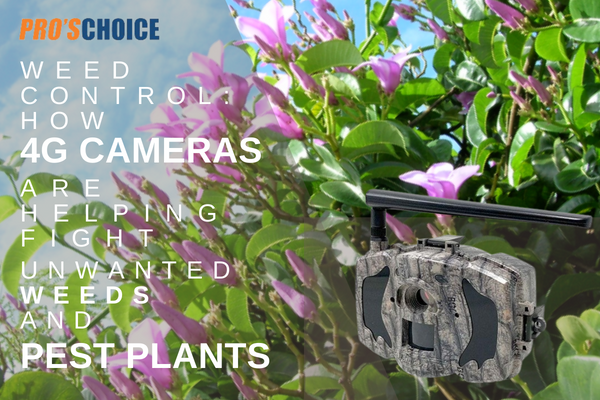Weed Control: How 4g Cameras Are Helping Fight Unwanted Weeds And Pest ...