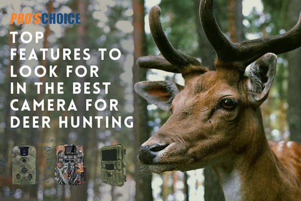 Top Features to Look for in the Best Camera for Deer Hunting – Pro's Choice
