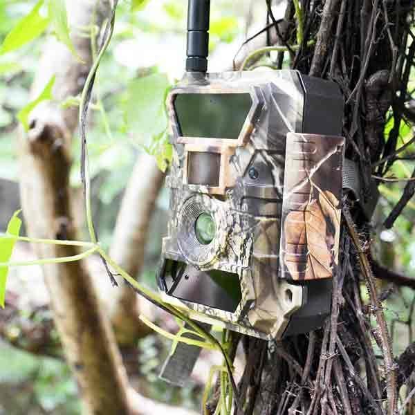 ProsChoice® Bravo X 3G Two-Way Communication BlackFlash 3G Trail Camera ...